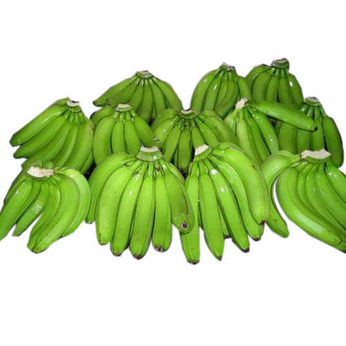 Exporters of fresh vegetables and fruits from Kenya