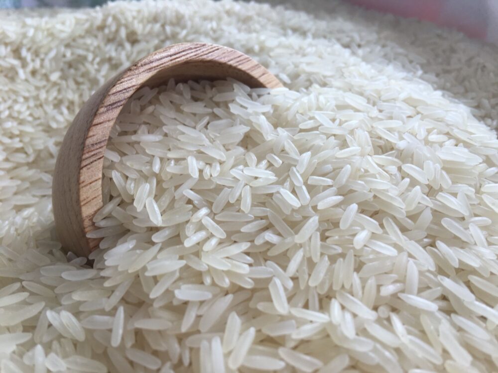 Rice suppliers, importers, exporters | Berium Group